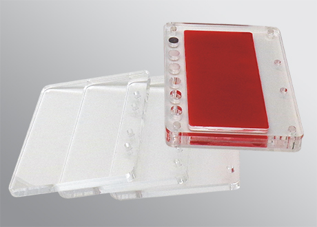 Mamografia - Global Representação